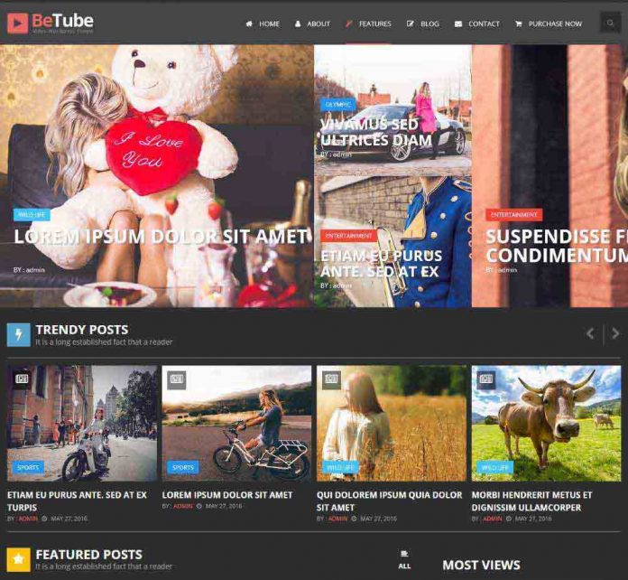 34 Best Free Movie Website Templates in 2023 - Prospected